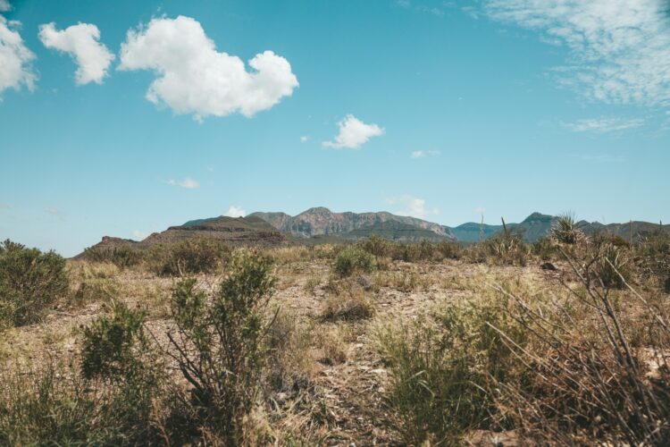 15 things only people from Texas truly understand
