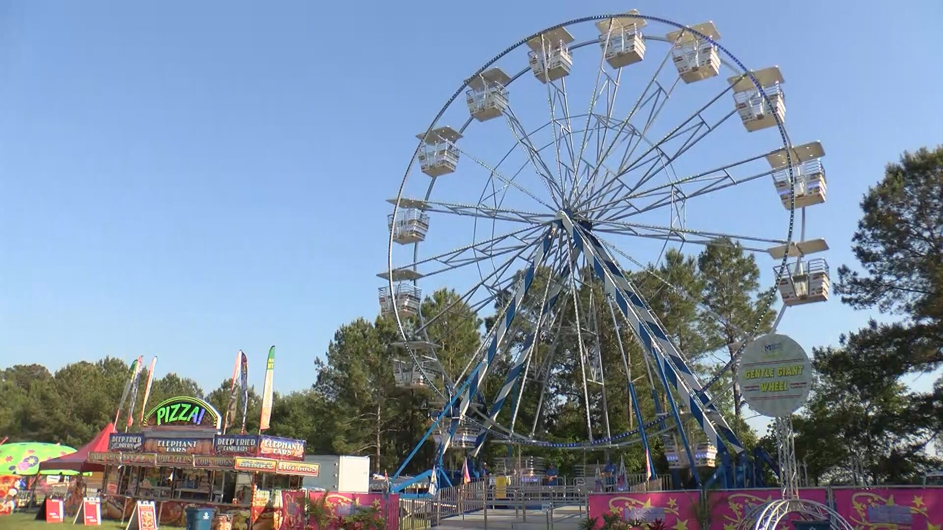 Annual Vidalia onion festival underway