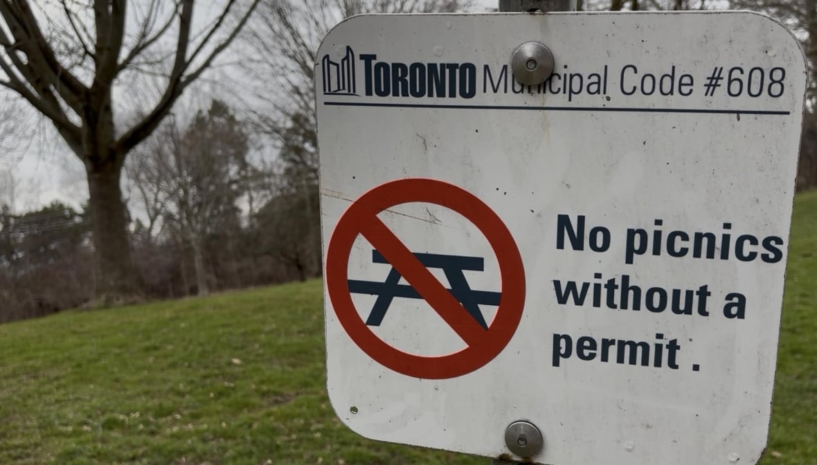 Picnic bans? No frisbee? One councillor thinks Toronto's park rules go ...