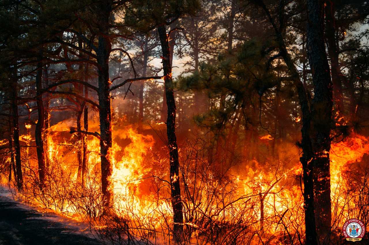 Jones Road Wildfire: Barnegat Fire Grows To 3,200 Acres