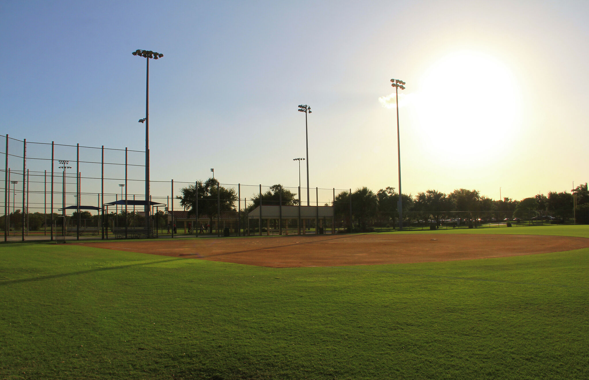 Mathis High School coach arrested after softball clash goes viral