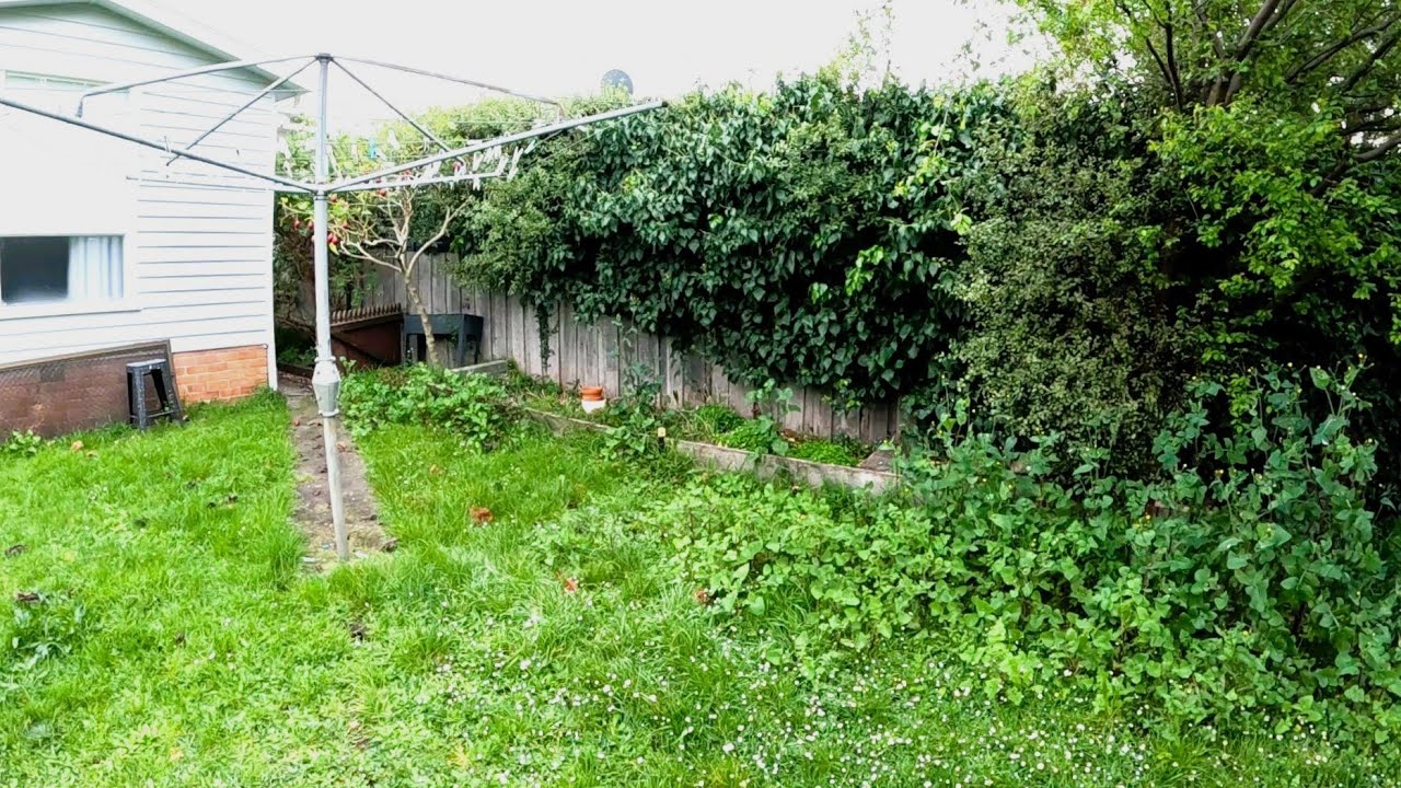 This Neglected Yard gets an Amazing Transformation - Overgrown Rescue