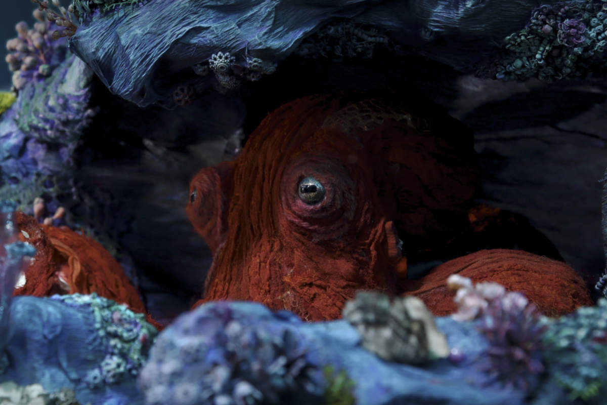 Octopus! Trailer and Key Art Revealed by Prime Video
