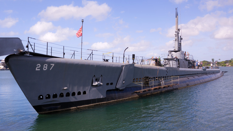 Sacrifice At Sea: The Tragic Tale Of World War 2's USS Grayback