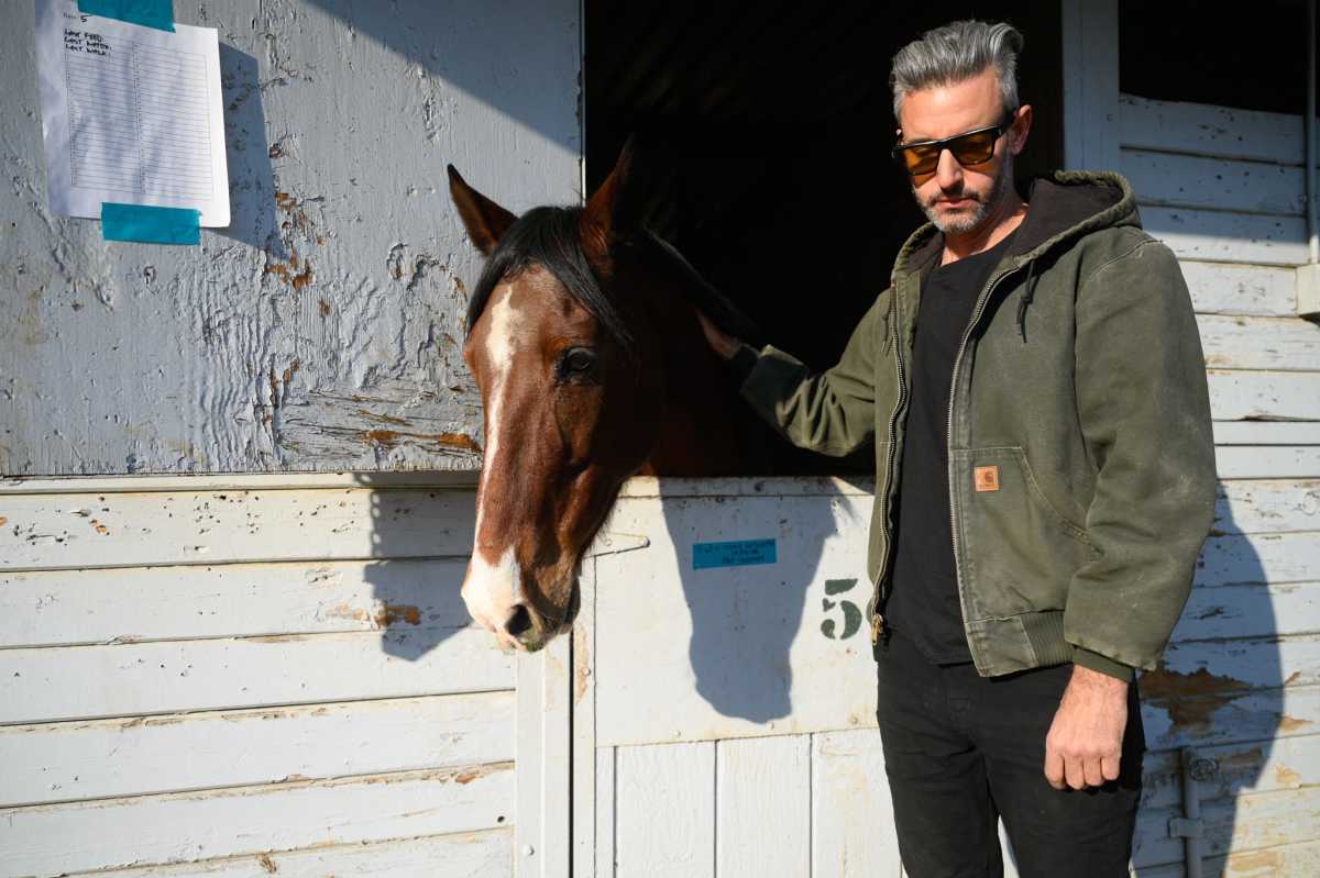 AI To Transform Equestrian As New Technology Gives Horses 'Digital Voice'