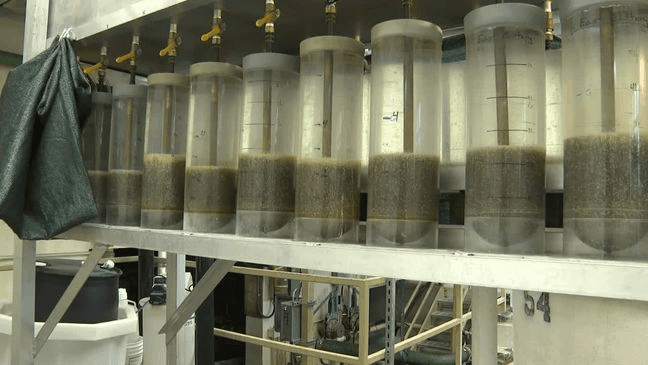 Walleye eggs hatch at Platte River hatchery, signaling start of spring ...