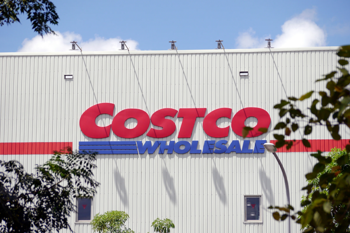 Costco Shoppers Say These Gorgeous Faux Olive Trees are 'Better Than ...