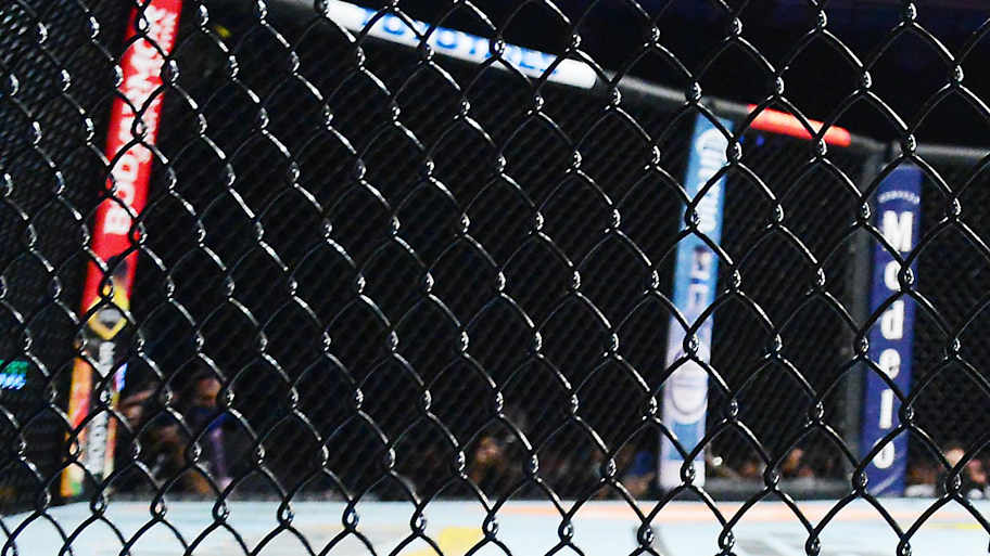 UFC fighter pulled from card after alleged assault on minor