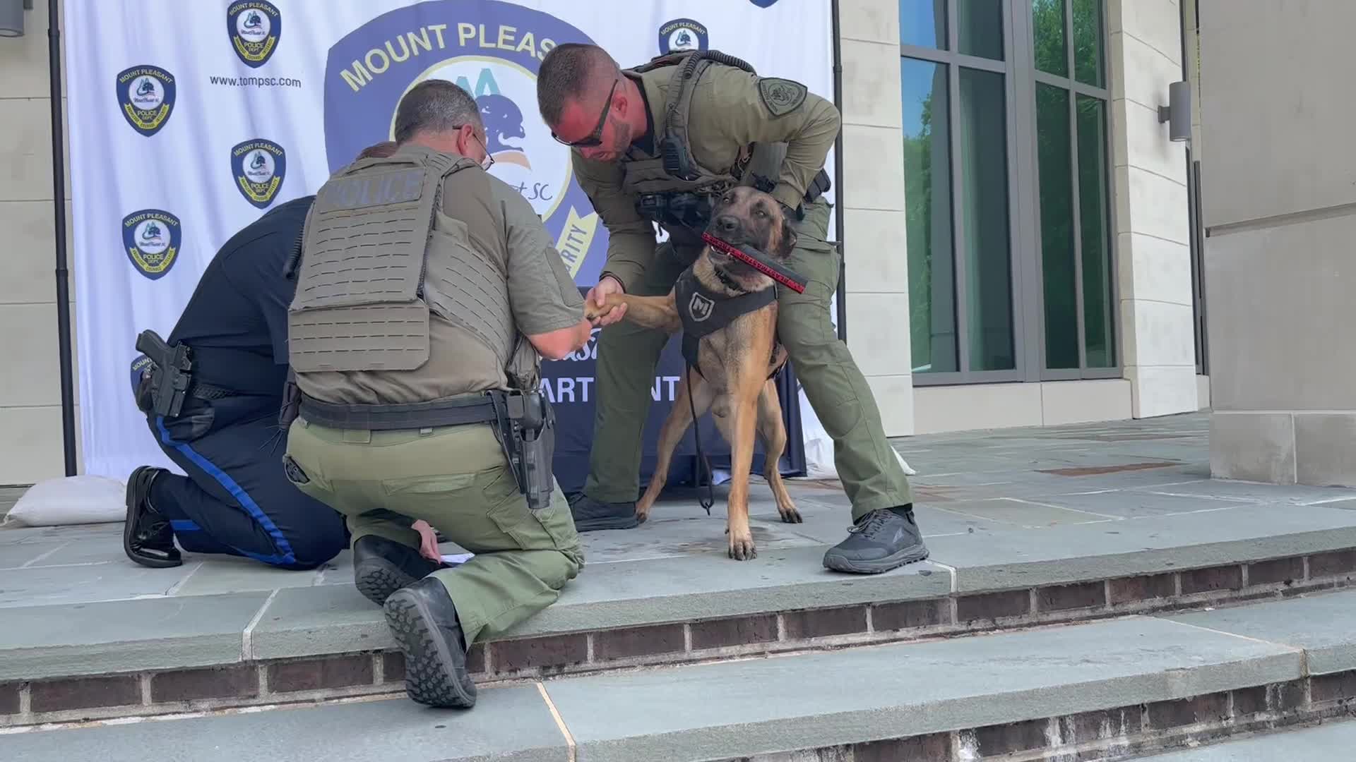 Mount Pleasant PD welcomes K-9 Max