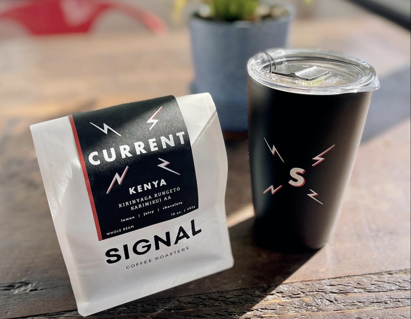 Signal Coffee moves into Tribune tower, Y’s Choice debuts new location ...