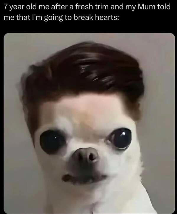 45 Funny Clean Memes That Are Safe For Work But Still Hilarious (April ...