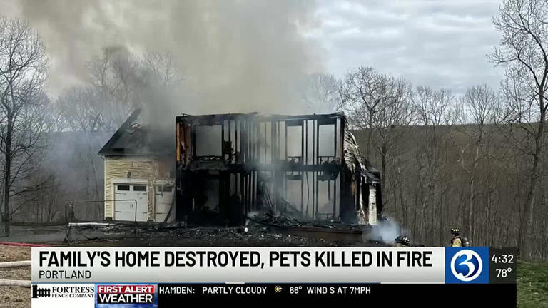 Dogs killed, home destroyed by fire in Portland