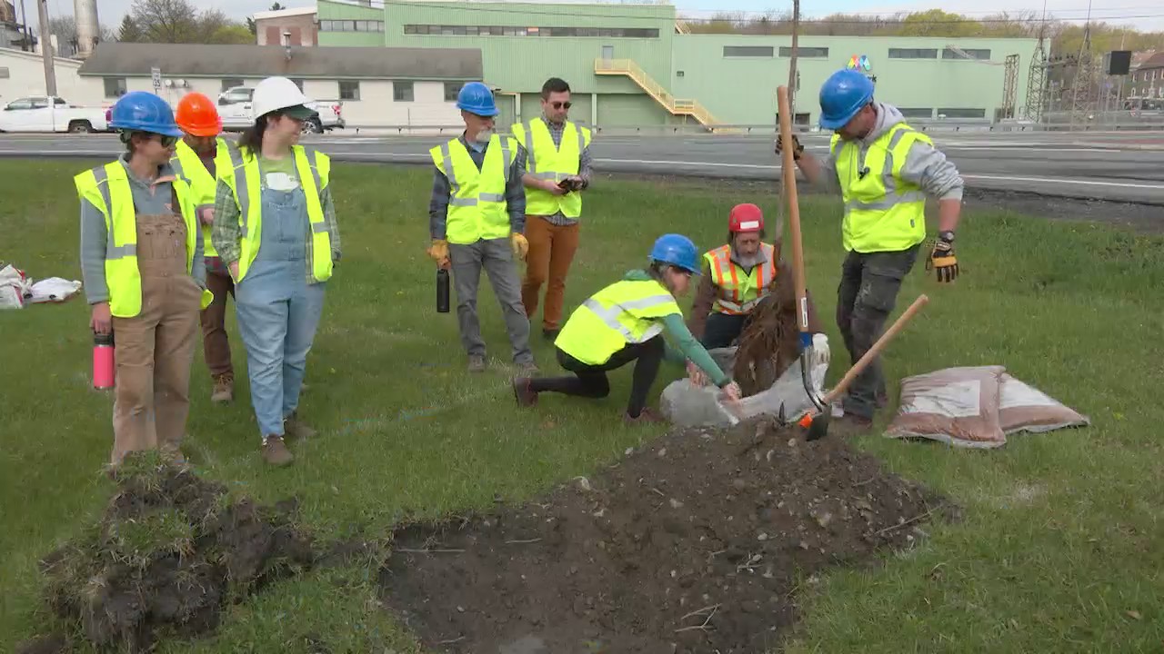 Student volunteers help plant 100 trees for Earth Day