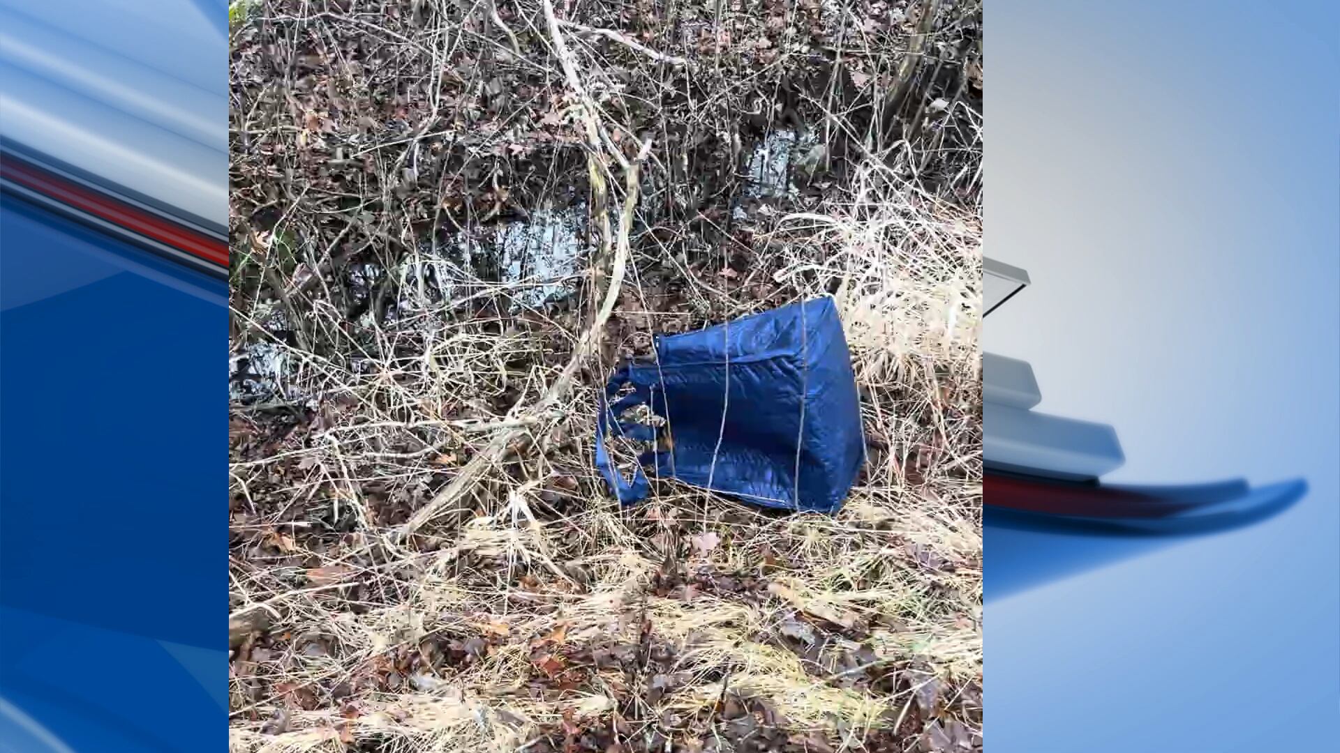 Kronenwetter officers rescue muskrat stuck in fence