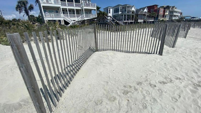 Folly Beach restoration project aims to protect coastline and wildlife