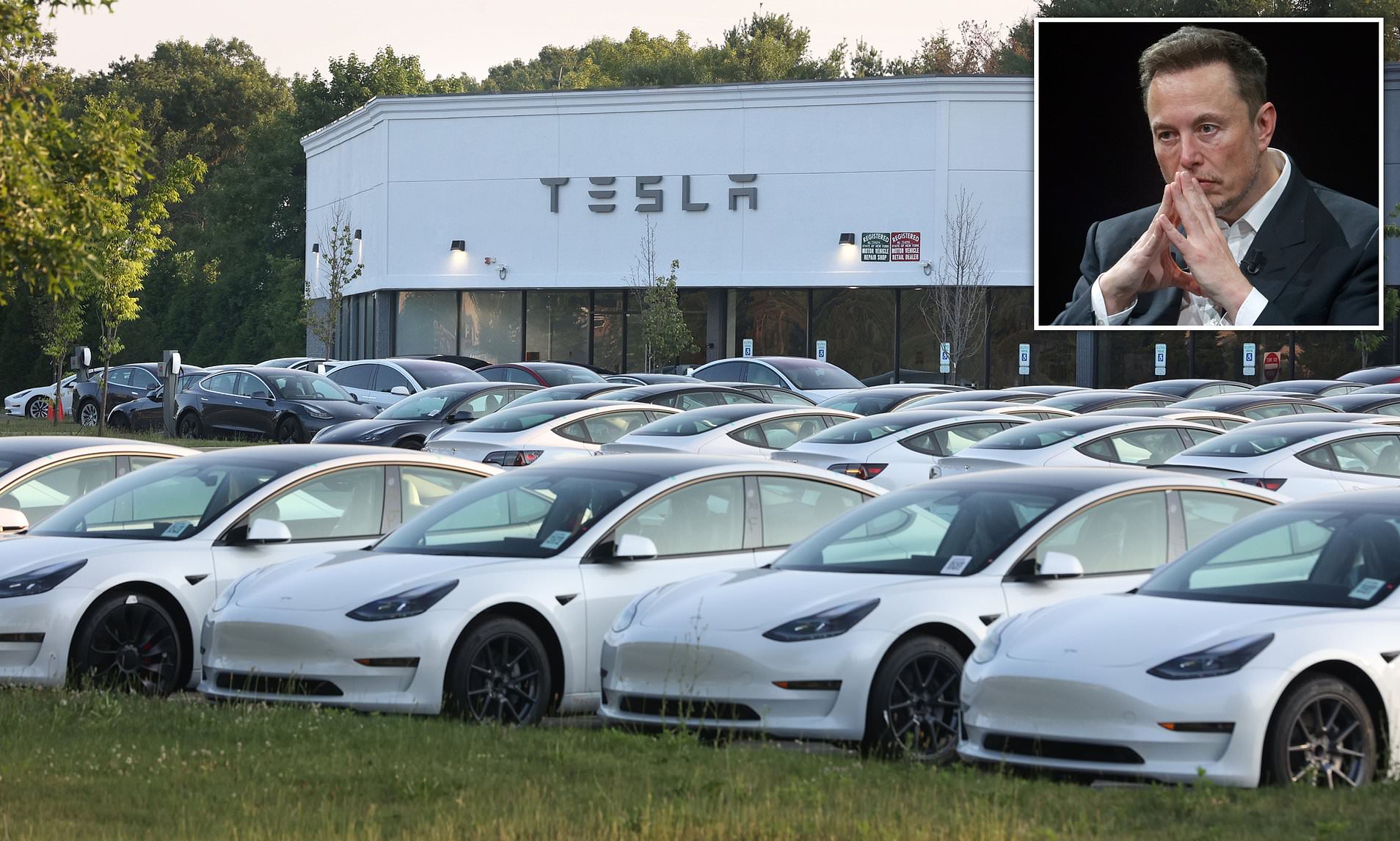 Tesla car crash as both sales and profits tumble amid fears Trump's ...