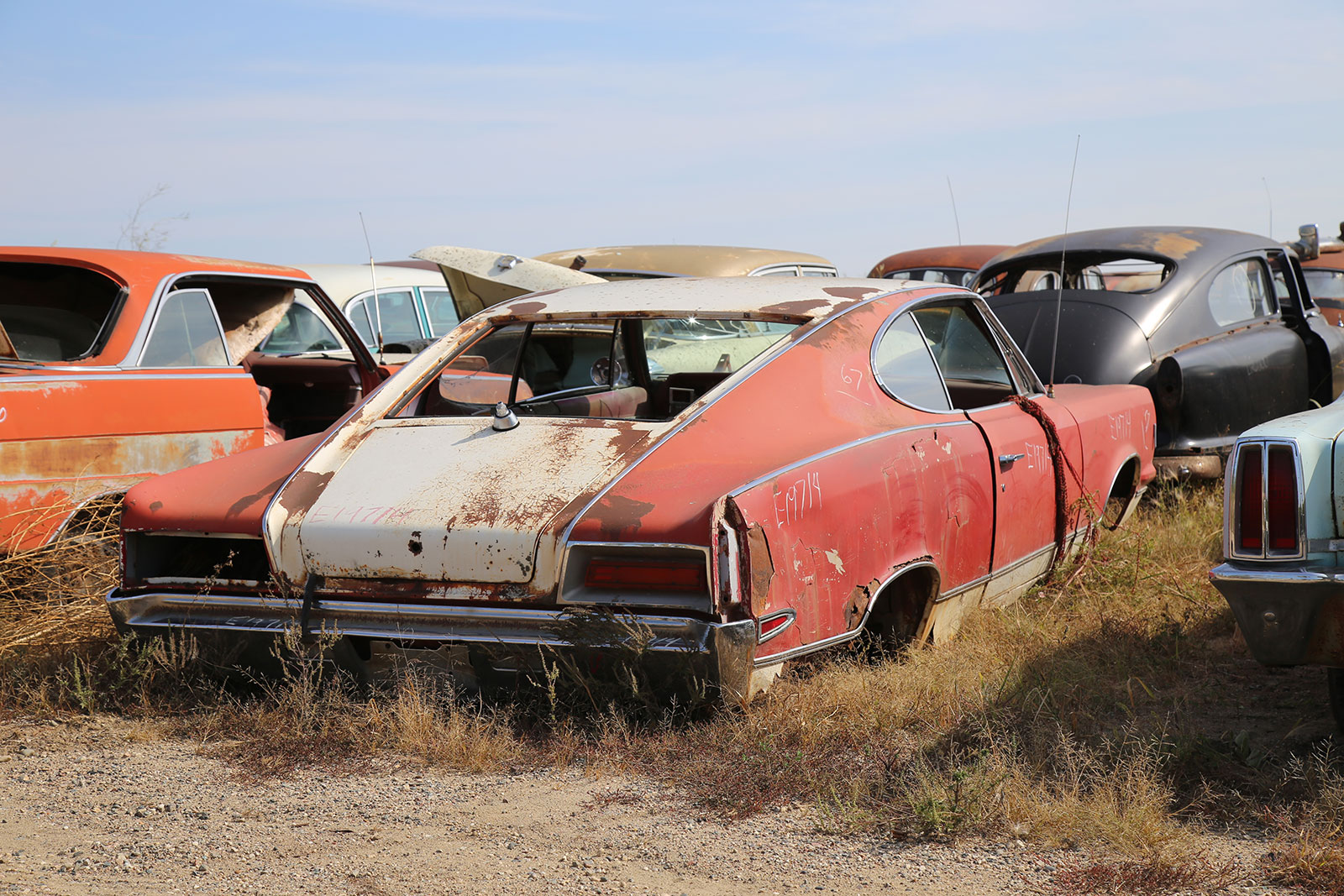 Final Junkyard Finds from French Lake Auto Parts, Annandale, Minnesota