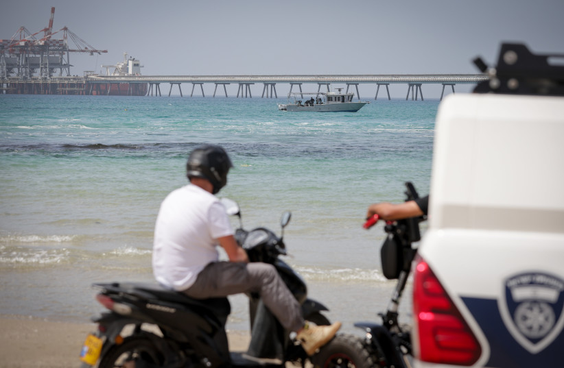 How to stay safe from sharks: Tips following the Israeli coast attack