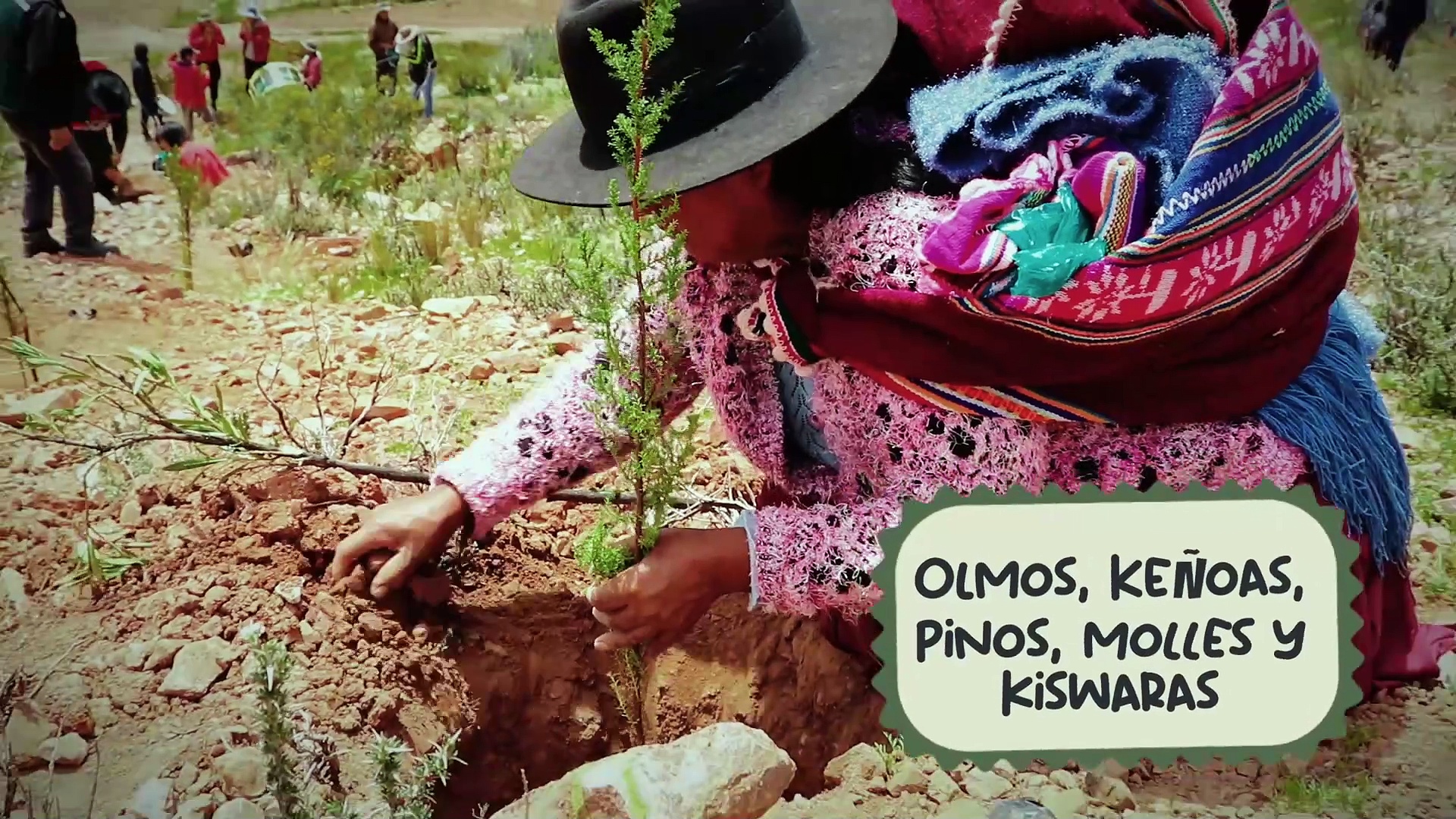 TERRITORIO GEEK -BONUS SOUNDTRACK- Pelicula de Robbie Williams