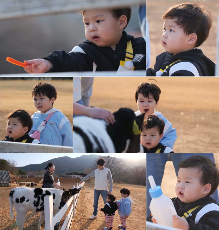 Junho Kim Jungwoo, 23 months old, and he's fearless...Challenge to feed ...