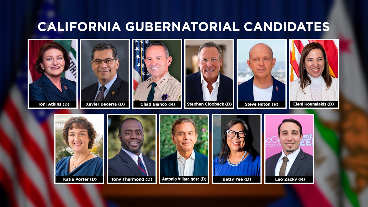 CA Governor Race: Who is running to replace Newsom