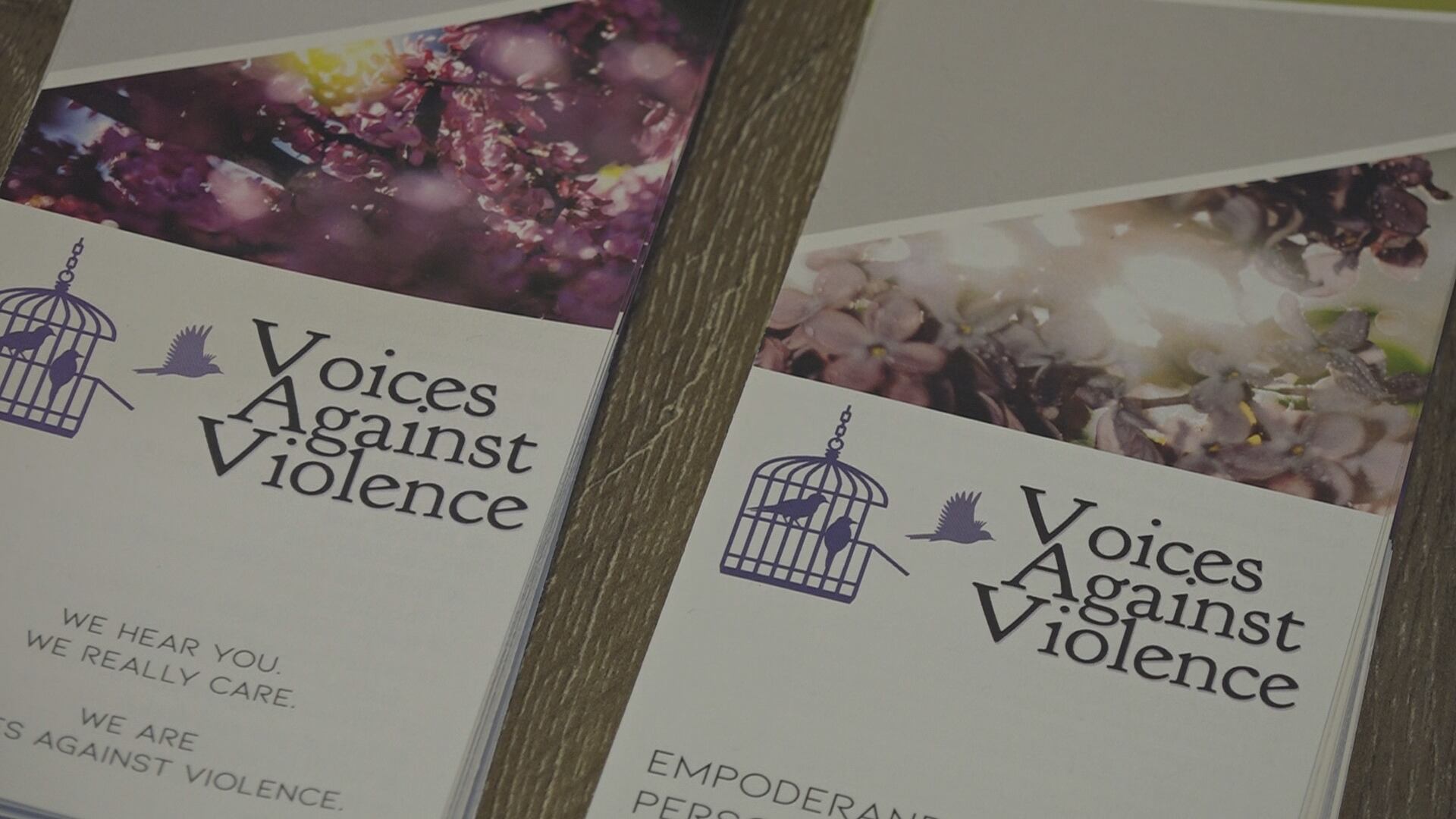 Voices Against Violence helps victims of domestic violence