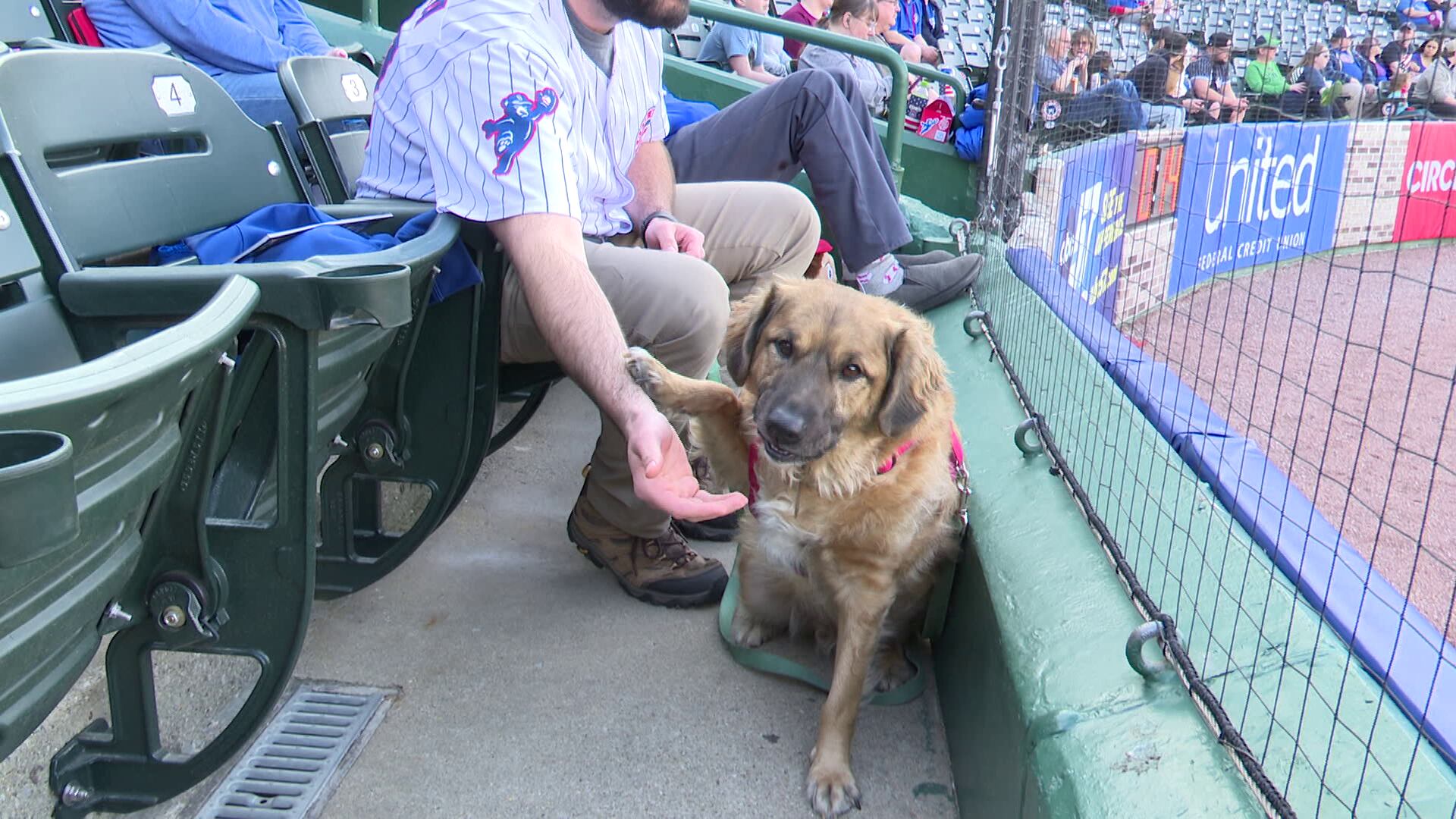 South Bend Cubs host first ‘Paws and Claws’ night of the season