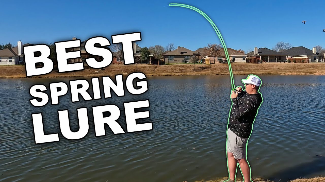 Spring Bass Fishing Texas Ponds