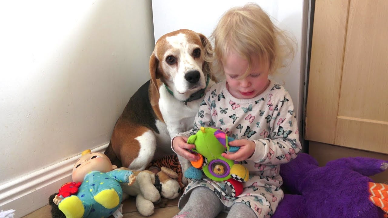 Raising Responsible Kids? These Dogs Are Helping Teach Valuable Lessons