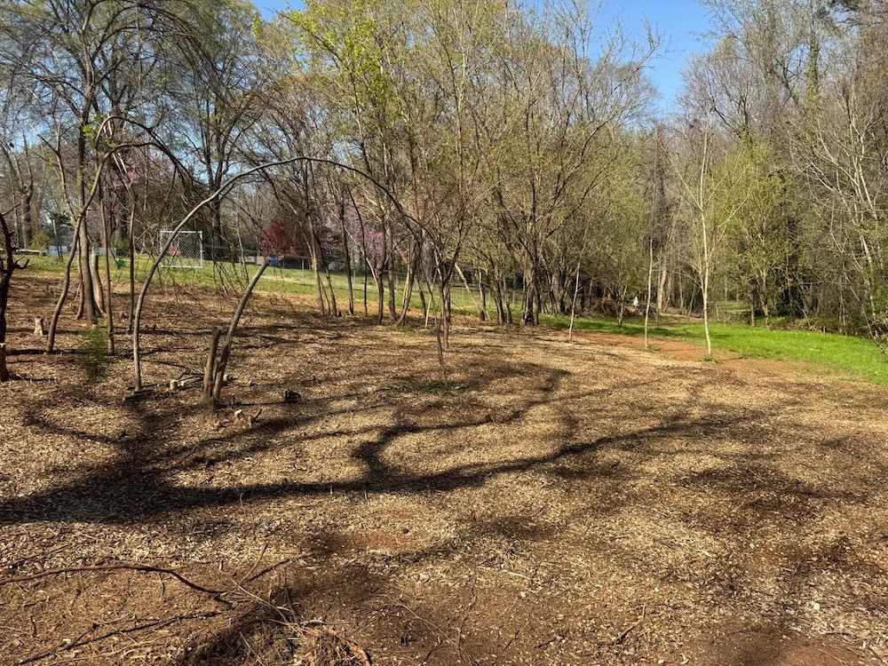 Homeowner shares astonishing before-and-after photos of months-long backyard project: 'It's a ...