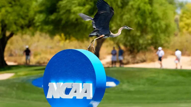 College football transfer portal window, explained: What to know about ...