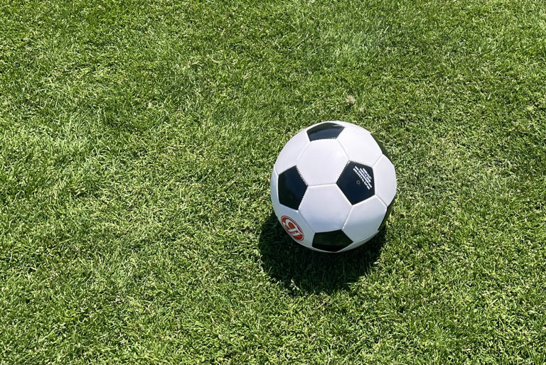 Santa Rosa looks to bring United Soccer League men’s, women’s teams to ...