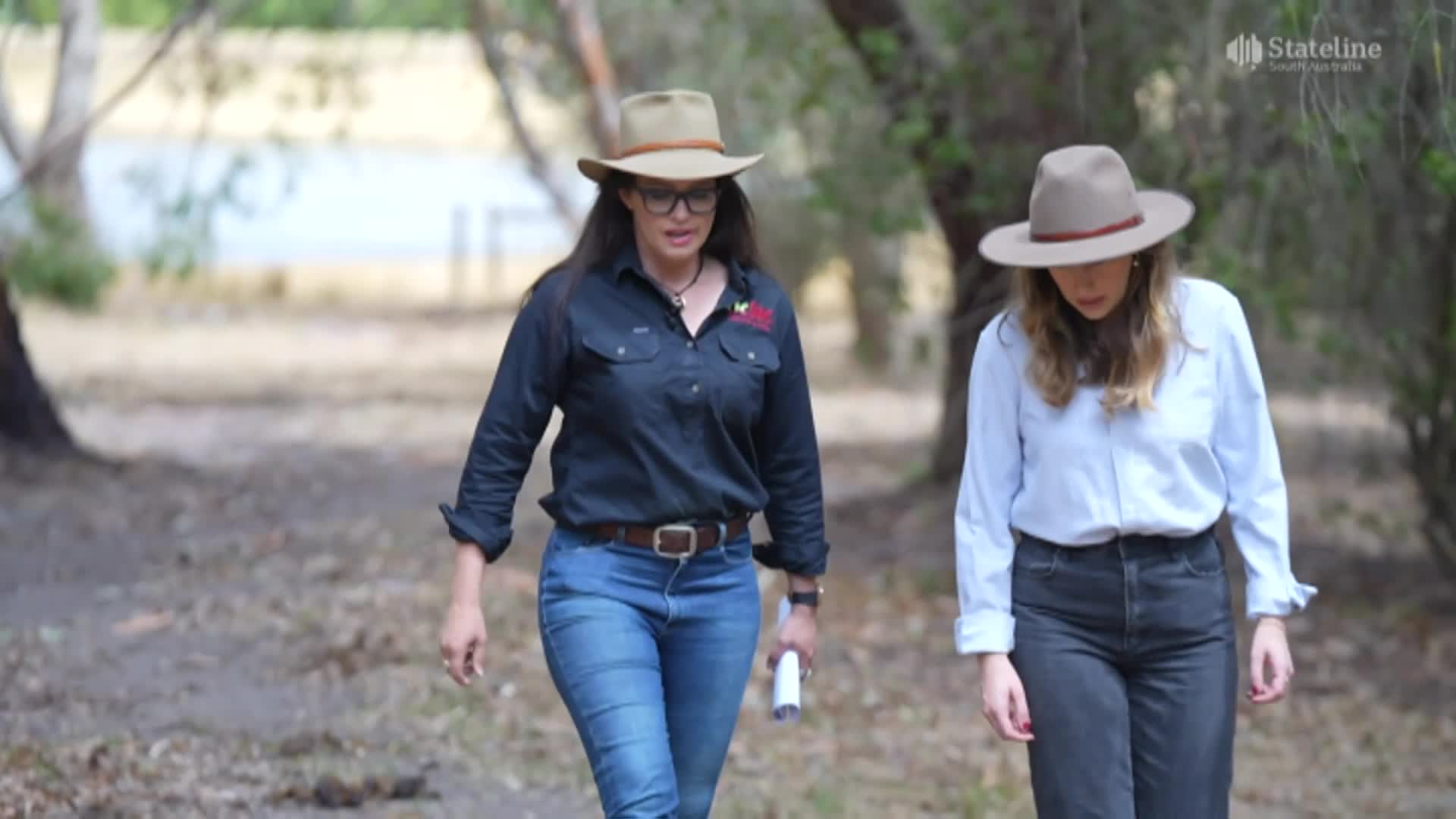 Pet owners launching legal action over canine arthritis injection