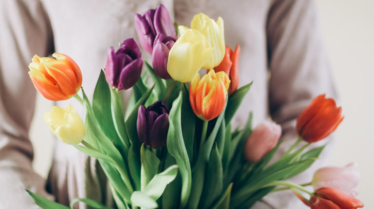 Kvíz: Poznáte jarní rostliny podle obrázku? Nenechte se zmást a ...