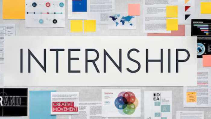 Deloitte Internship 2025: Rs 30,000 stipend, tech training & QA engineer role for final-year ...