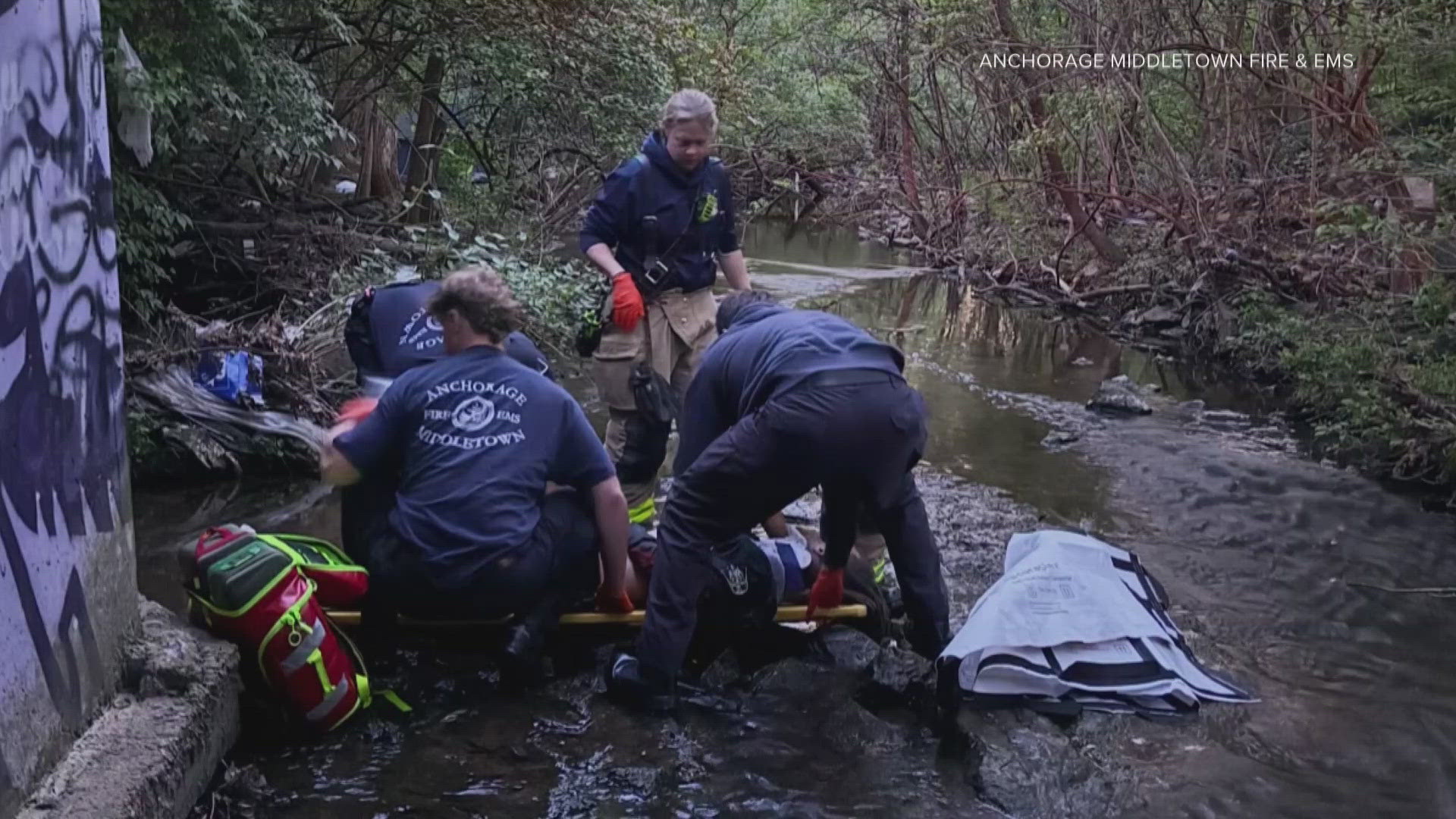 Man rescued after falling off bridge in Louisville