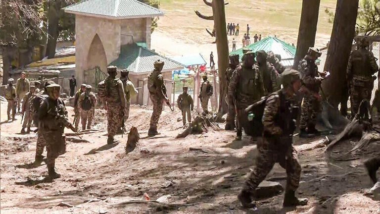 ‘He tried to snatch the rifle’: Kashmiri pony operator killed trying to ...