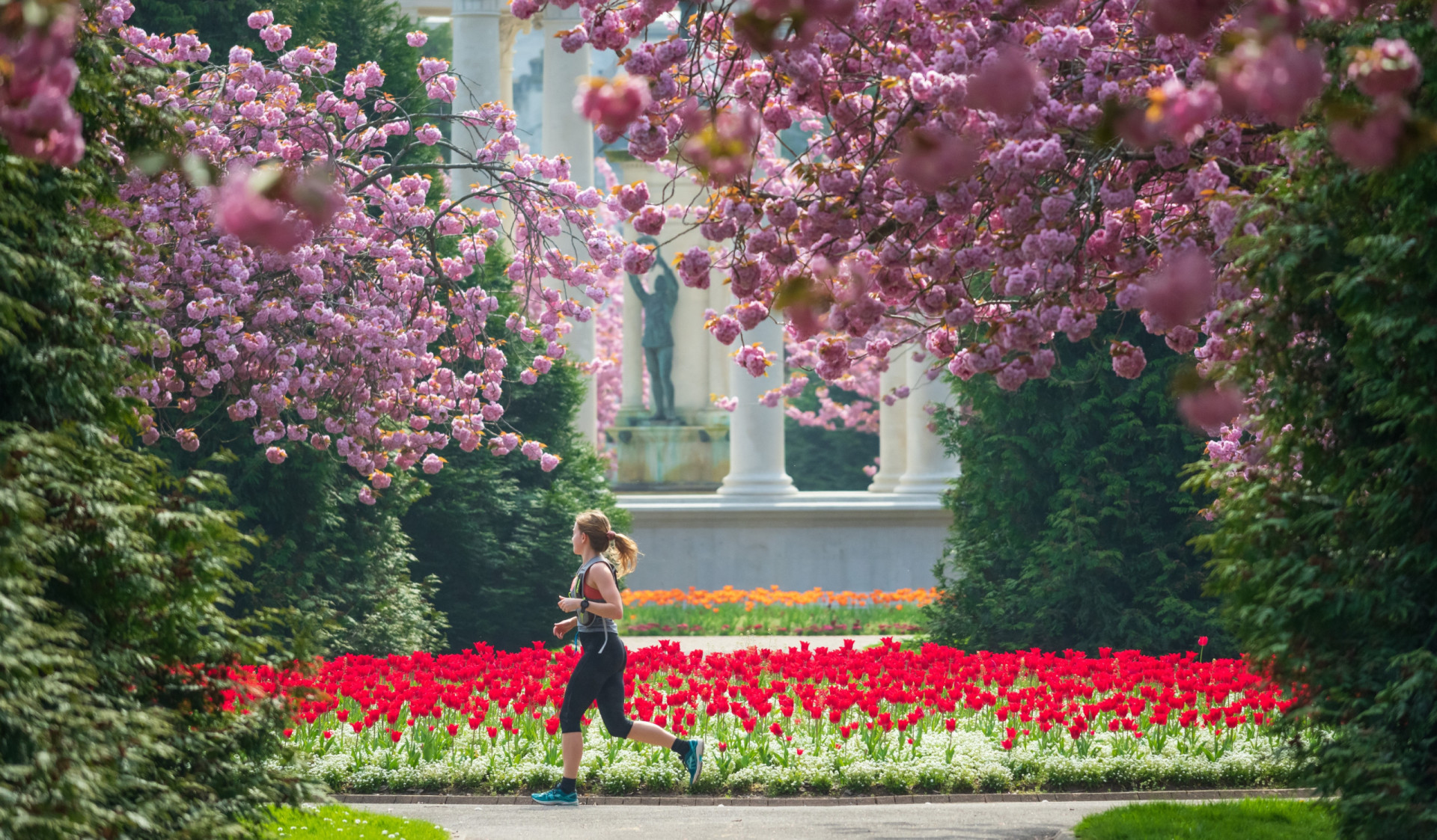 The beauty of spring around the world