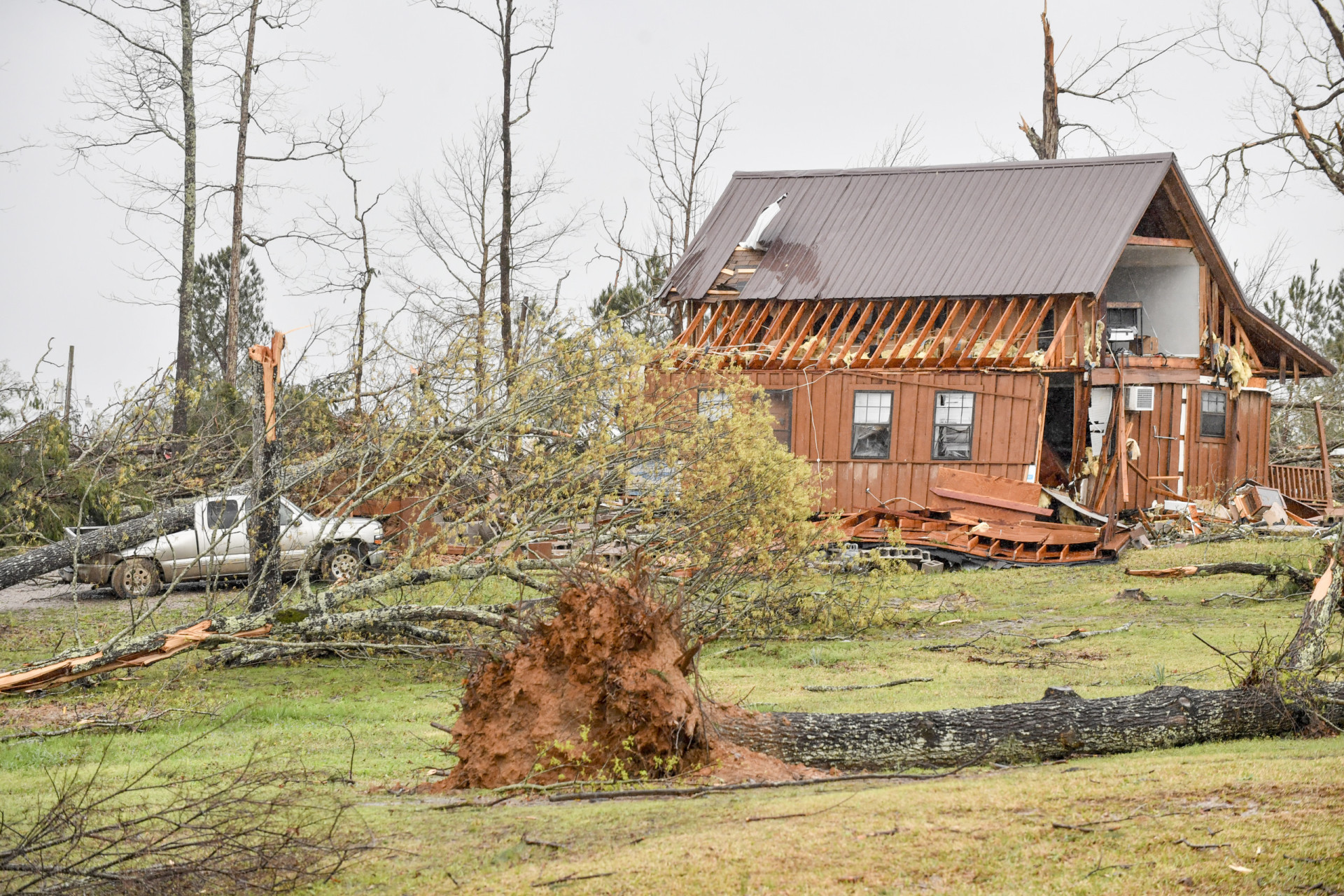 Climate crisis: Scientists use 'disaster DNA' to prevent future trends