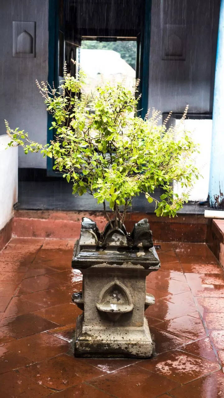 The 10 Worst Front-Wheel Drive Cars & The 10 Best