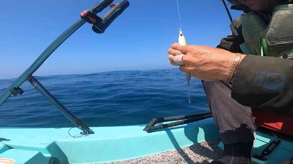 Fishing the Shimano Flat Fall & Colt Sniper | SD Fish and Sips Highlights