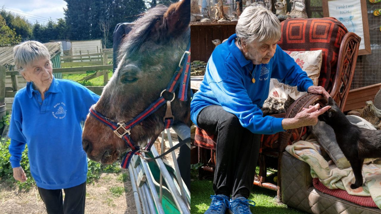 90-year-old who has saved over 10,000 animals at sanctuary has no plans ...