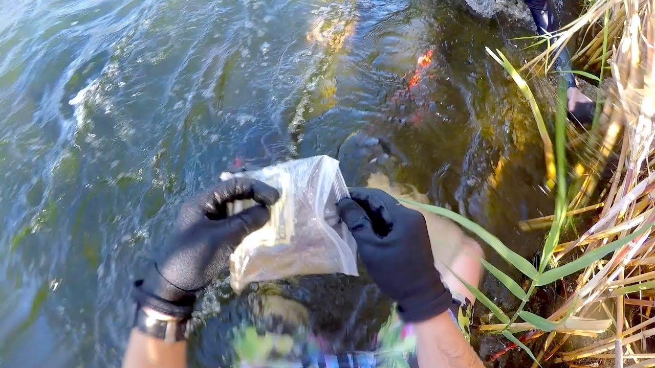 I Found a Bag Full of Cash While Diving in the River