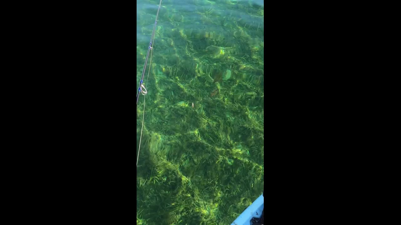 'Get a Load of the Conditions' - Aussie man's squid-fishing venture ...