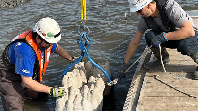 5 ancient technologies that are inspiring modern innovations