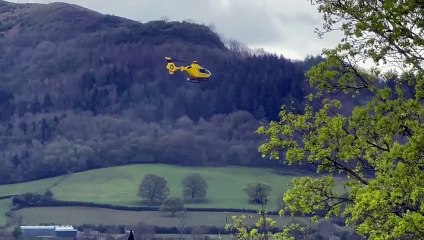 The Saga of the Yellow Chopper