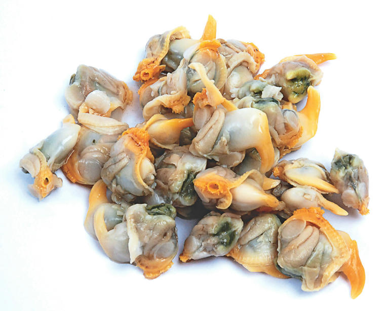 Try these shellfish baits for coarse fishing