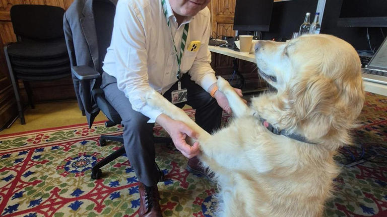 Starmer wishes Jennie the guide dog a happy birthday in the Commons