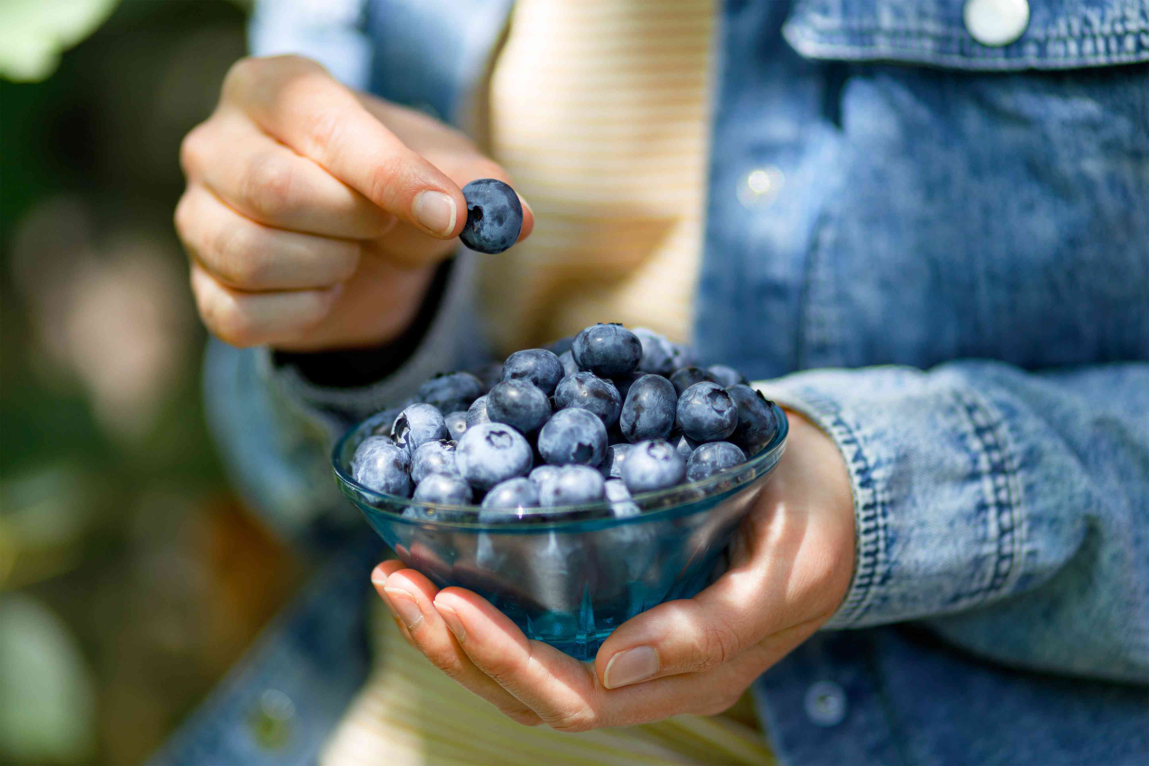 9 health benefits of blueberries