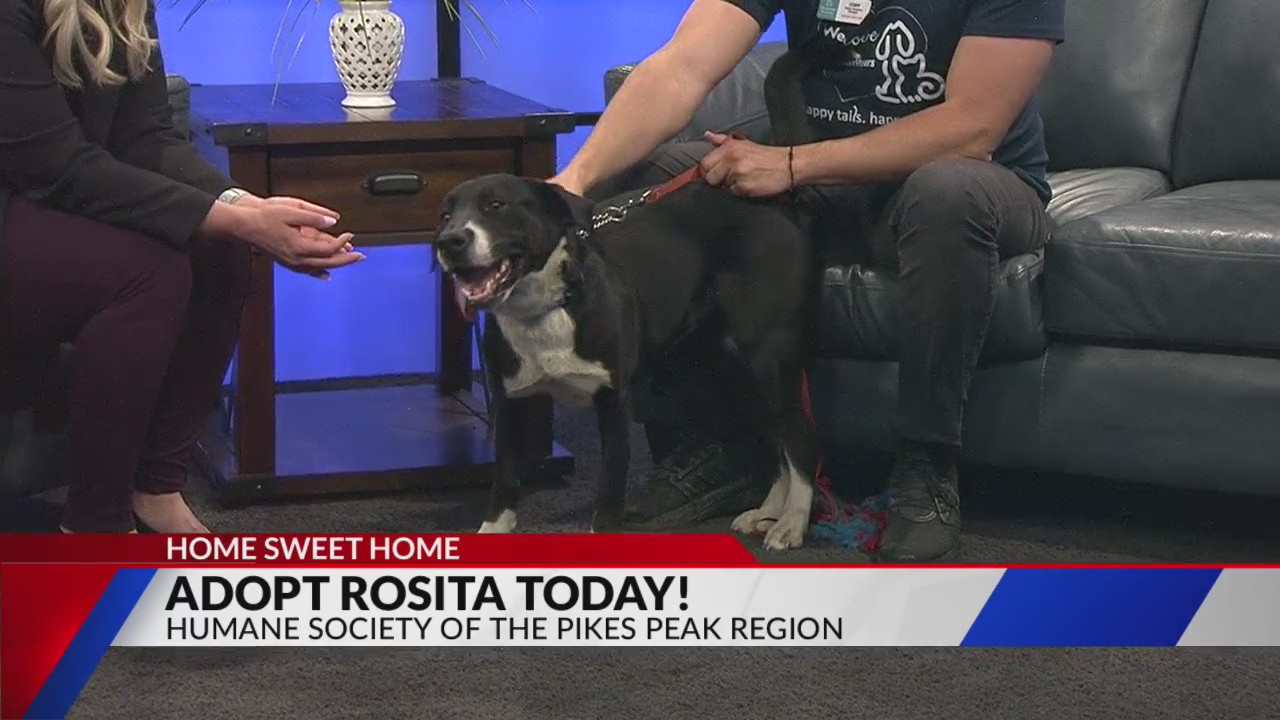 Home Sweet Home: Meet Rosita